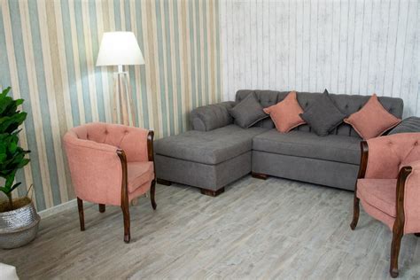 무료 이미지 가구 갈색 재산 침상 목재 인테리어 디자인 위로 관엽 식물 구형 견목 베이지 색 스튜디오 소파 거실 방 나무 바닥 라미네이트