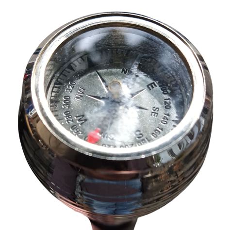 Compass Walking Stick