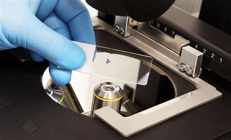 현미경으로 조직 샘플 또는 생검이 있는 슬라이드를 보여주는 의사 또는 과학자의 손 실험실에 대한 스톡 사진 및 기타 이미지 실험실 현미경 슬라이드 생검 Istock