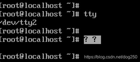 Linux内核如何输出中文字符linux中用一个参数的方法输出一个数字返回中文 Csdn博客