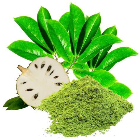 Soursop Leaf Powder