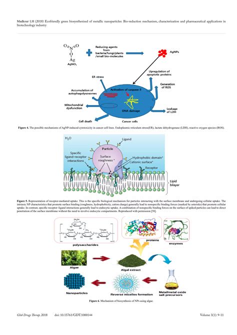 Ecofriendly Green Biosynthesized Of Metallic Nanoparticles Bio