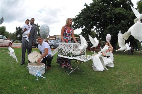 Wedding Dove Release Doves For Weddings East Londondoves For