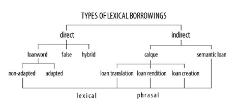 Direct And Indirect Lexical Borrowings Pulcini Furiassi And Rodríguez Download Scientific