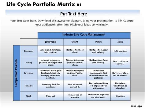 Life Cycle Portfolio Matrix 01 Powerpoint Presentation Slide Template
