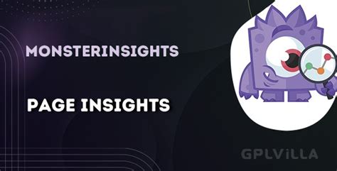 Monsterinsights Page Insights Addon Gplvilla