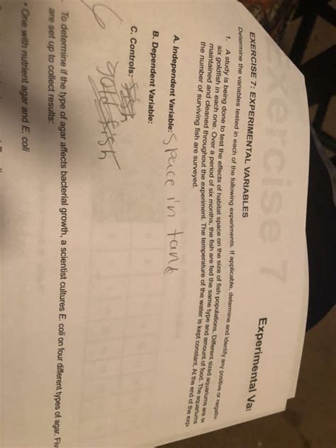 Solved Experimental Va Exercise 7 Experimental Variables