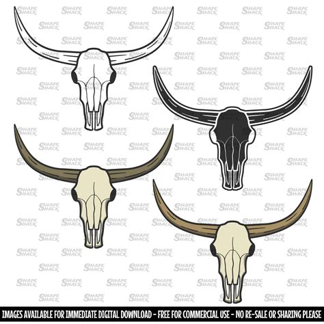 Longhorn Skull Cow Head Bull Cattle Skeleton Clipart Etsy