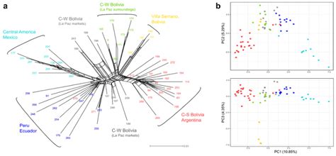 Phylogenetic Network And Principal Component Analyses Of 67 C
