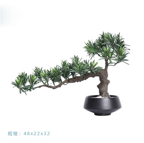 柏树雕刻摆件图片大全 崖柏雕刻摆件 柏木雕刻摆件 大山谷图库