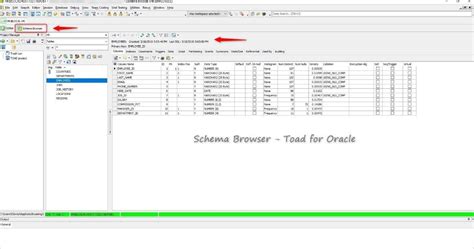 Learn What Distinguishes Toad For Oracle Vs Toad Data Point