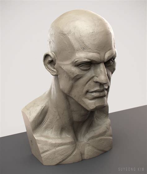 Artstation Male Anatomy Bust Su Yeong Kim Human Anatomy Drawing