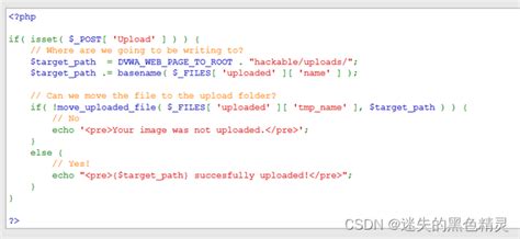 文件上传漏洞实验 通过截取请求绕过前端javascript验证进行文件上传 csdn博客