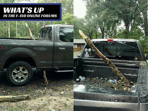 F Aluminum Bed Speared By Tree Branch Our Forum Reacts F Online Com