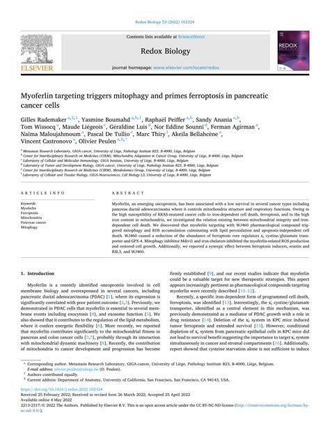 Pdf Myoferlin Targeting Triggers Mitophagy And Primes Ferroptosis In
