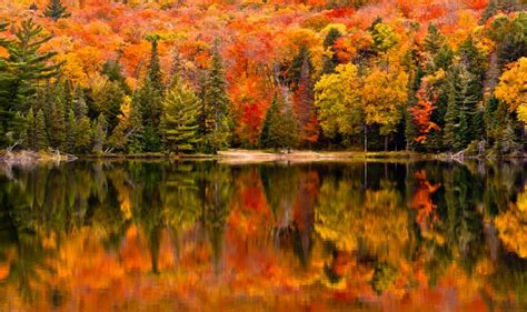 5 raisons pour visiter le Canada en automne Chéri fais tes valises