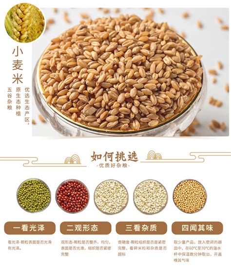 小麦米怎样做 小麦米怎样做好吃 如何煮小麦米 大山谷图库