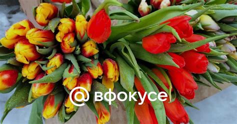 Поздравления с 8 Марта 2024 короткие красивые и прикольные пожелания женщинам своими словами в