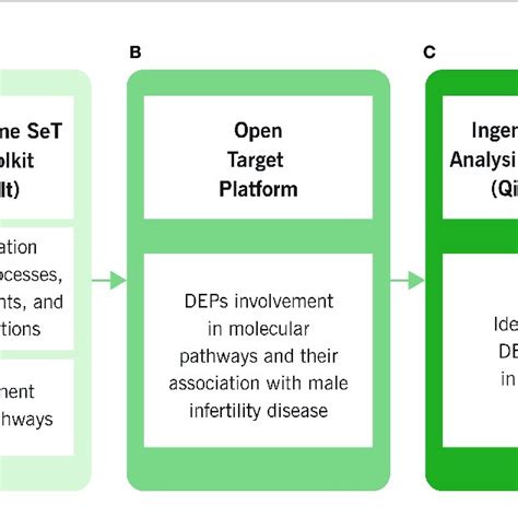 Bioinformatic Analysis Conducted By Using A Web Based Gene Set