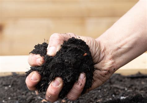 The Basics Of Composting At Home • Gardenary