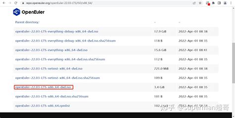 openEuler操作系统的安装 知乎