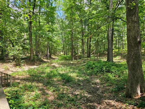 Explore The Natchez Trace Parkway