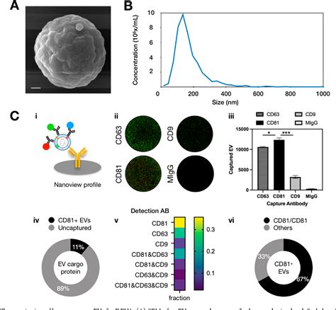 Figure 1 From Ultrasensitive Single Extracellular Vesicle Detection