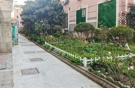到现场去 老旧小区“焕新”赢得居民欢心