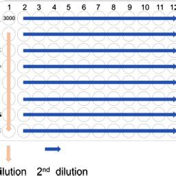 Schematic Representation Of HoxB8 MPP Cloning By Limiting Dilution