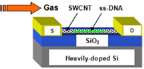 Cnt Gas Odour Sensor Download Scientific Diagram