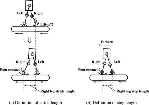Definitions Of The Stride Length Left And The Step Length Right Download Scientific
