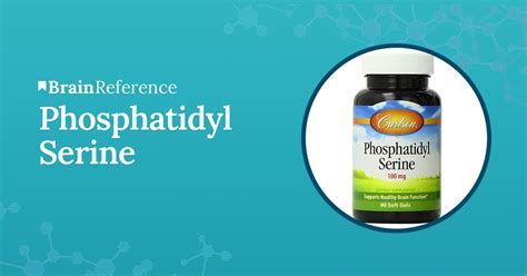 Phosphatidyl Serine Review 8 Things You Should Know