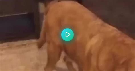 Good Morning Album On Imgur