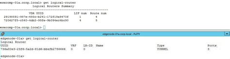 NSX T Logical Routing Architecture Part VMware By Broadcom
