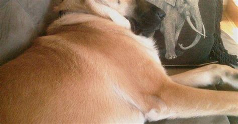 Bae Caught Me Slippin Imgur