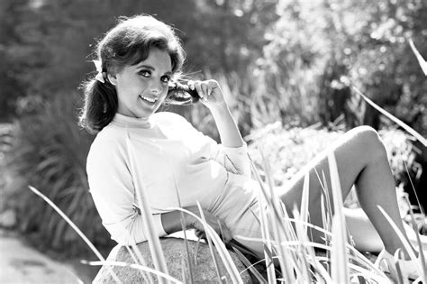 Dawn Wells Gilligans Island Mary Ann Stunning 8x10 Luster Photograph