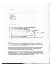 Understanding The Male And Female Reproductive Systems Course Hero