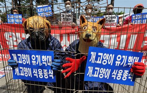 성남서 개 식용 반대 캠페인모란 개시장 폐쇄하라 한국경제