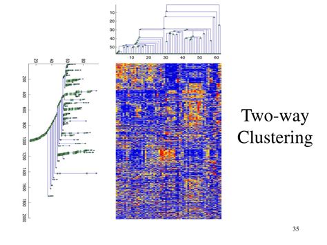 ppt clustering gene expression data powerpoint presentation free