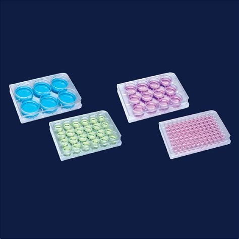 PLACA MULTIPOCILLOS PARA CULTIVO CELULAR DE PLASTICO DE 6 HOYOS 3 ML