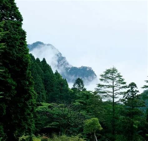 庐山再发现 去完觉得李白更流弊了 凤凰旅游