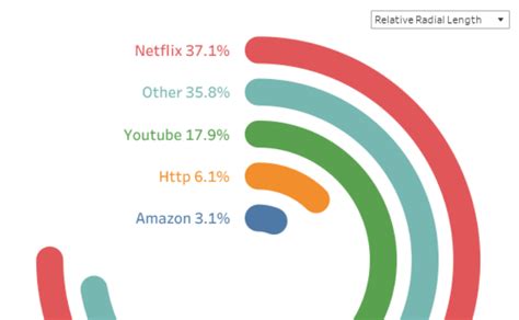 Workbook Radial Bar Chart