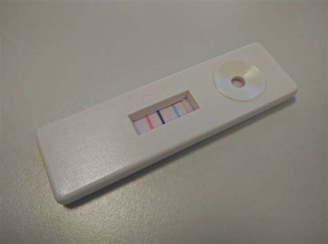 Conjugation Kit Easy Labelling Ab269894 Abcam
