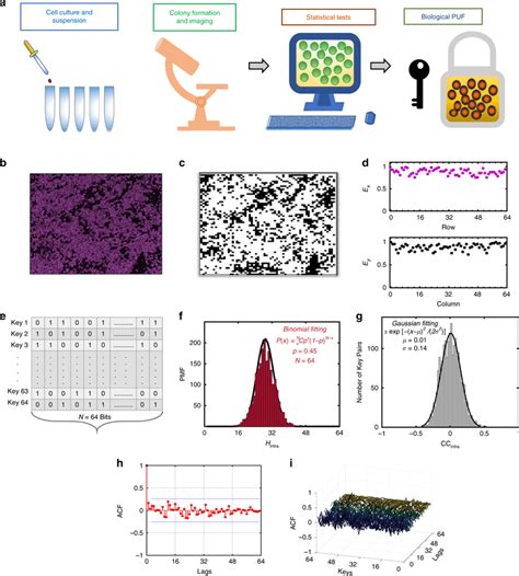 Randomness Of Biological Physically Unclonable Function Bio Puf A