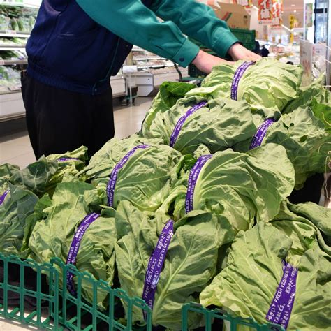 天候不順でレタスやキャベツなど野菜高騰 小売店、少量売りなど売り方工夫 「今月後半に落ち着く」見通し｜県内主要社会経済｜下野新聞デジタル