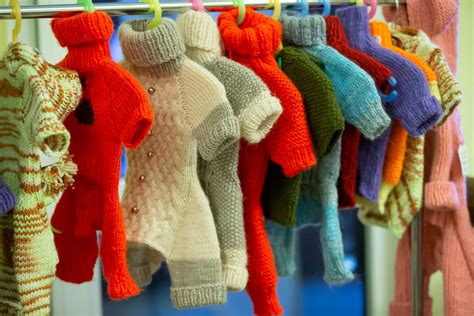 강아지 옷장 추천 10가지 손쉽게 셀프로 만드는 방법은 비마이펫 라이프