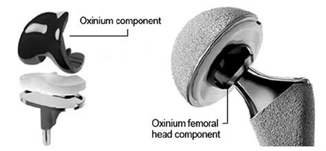 Microstructure Of The Porous Nanostuctured Tantalum Material And