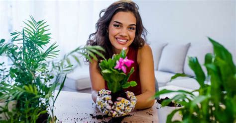 9 Recomendaciones Para Mejorar La Calidad Del Aire En Tu Hogar