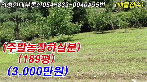 매물no95번 의성군싼땅의성주말농장의성집터의성시골싼땅경북부동산의성부동산영천부동산군위부동산안동부동산