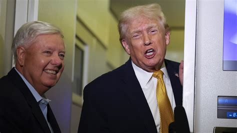 El Senador Lindsey Respaldado Por Trump Se Presenta A La Reelección